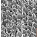 LAMP - Laser Advanced Materials Processing Lab